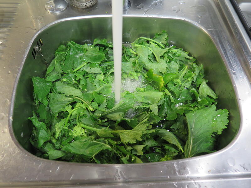 Come pulire e cuocere le cime di rapa - Le ricette di Teresa